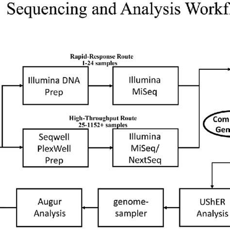 general workflow for the processing of complex samples basic workflow download scientific