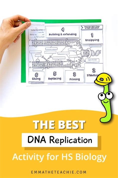 The Best Dna Replication Activity For High School Biology Emmatheteachie