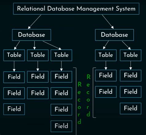 Solving Curious Freaks Coding Cheat Sheet Problems By Harinibala S Medium