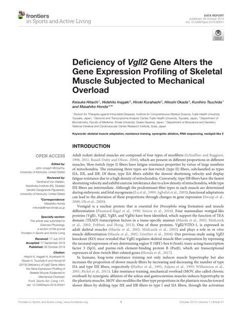 PDF Deficiency Of Vgll2 Gene Alters The Gene Expression Profiling Of