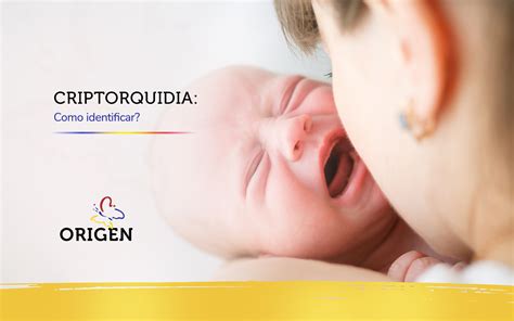 Criptorquidia Como Identificar Clínica Origen Fertilização In Vitro