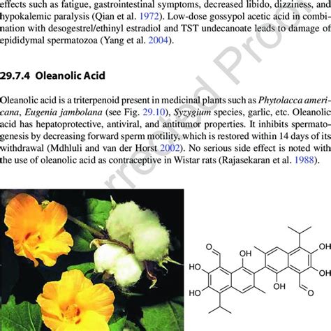 8 Tripterygium Wilfordii And Structure Of Triptolide Download