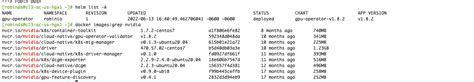 How To Install Gpu Operator In K8s Cluster With Different Gpu Servers Hgx Fabric Manager And