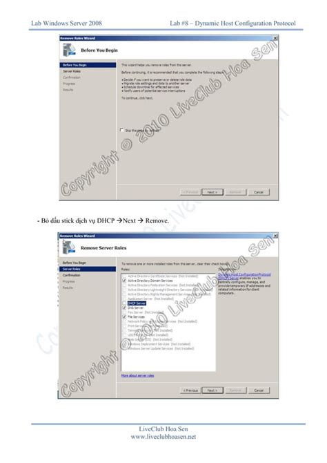 Lab 8 Dhcp Server Pdf