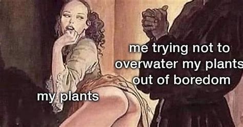 Big Old Dumpy Album On Imgur