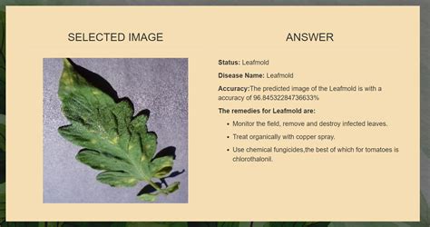 Github Nirajccs1999 Tomato Leaf Disease Detection Detect And Classify Tomato Leaf Diseases