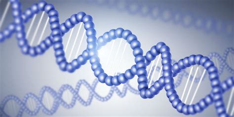 直击第二届人类基因组编辑国际峰会：与会专家热议“基因编辑婴儿”事件 搜狐大视野 搜狐新闻