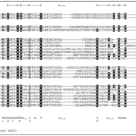 Conservation Of Functional Residues Within Eukaryotic And Putative