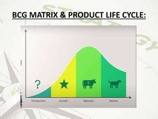 BCG MATRIX AND GE MATRIX PPTX