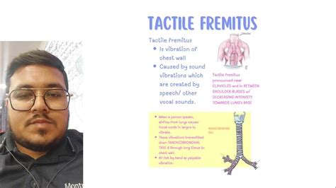 Tactile Fremitus Youtube
