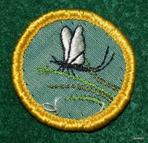 Girl Scout Cadette Badge Cheesecloth Back Insect Free Shipping £3 12 Picclick Uk