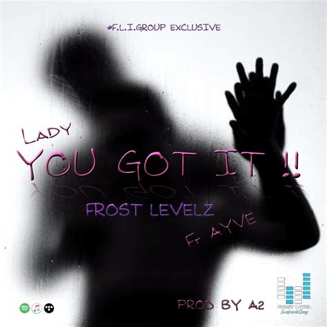 You Got It Frost Levelz、ayve 高音质在线试听 You Got It 歌词 歌曲下载 酷狗音乐