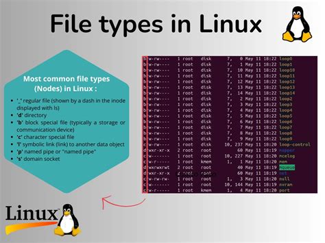 Luis Olivares On Linkedin Understanding File Types In Linux Is Crucial For Efficient System…