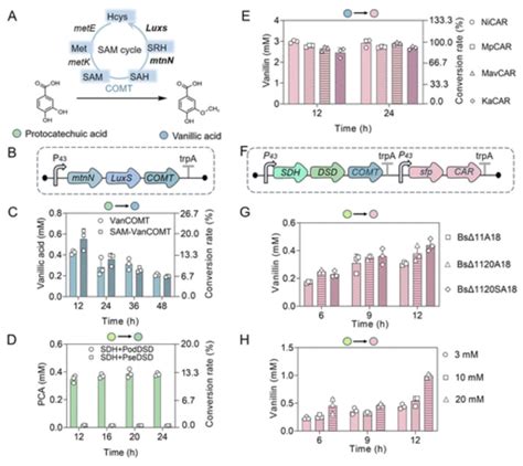 Pathway Adapted Biosensor For High Throughput S
