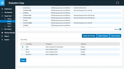 Configuring Backup And Slas With Ibm Spectrum Protect Plus