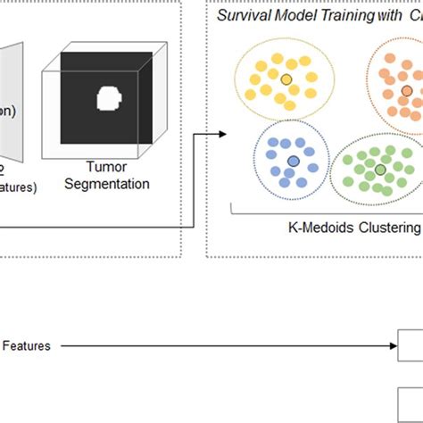 Schematic Diagram Of The Survival Prediction Framework The Proposed