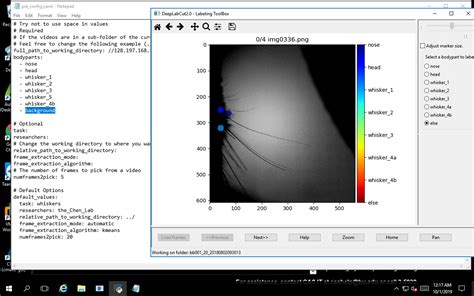 label not refreshing on gui · issue 432 · deeplabcut deeplabcut · github
