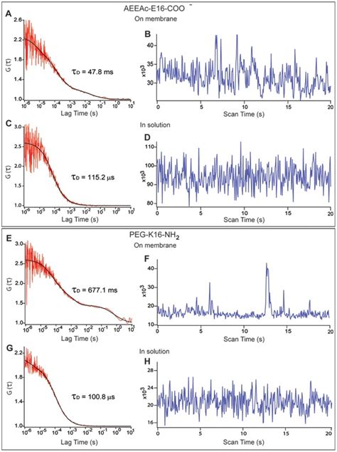 Normalized Acfs Left Traces And 2d2p Models Left Line Curves