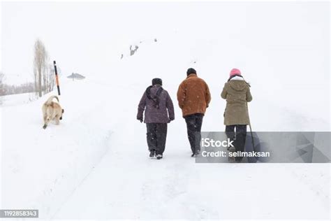 눈 덮인 시골 길에서 따뜻한 옷을 입고 있는 시니어 커플과 딸 가족에 대한 스톡 사진 및 기타 이미지 가족 개 개 산책 Istock