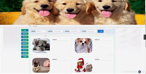 基于pythonflask框架的基于web的流浪宠物救助系统（开题程序论文） 计算机毕设 Csdn博客