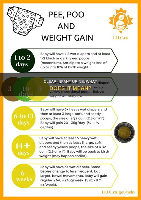 Clear Infant Urine What Does It Mean Medshun