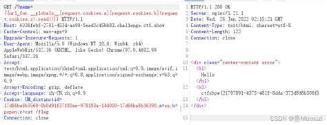 Ctfshow Ssti Web361 Web372 Wpweb362 Csdn博客