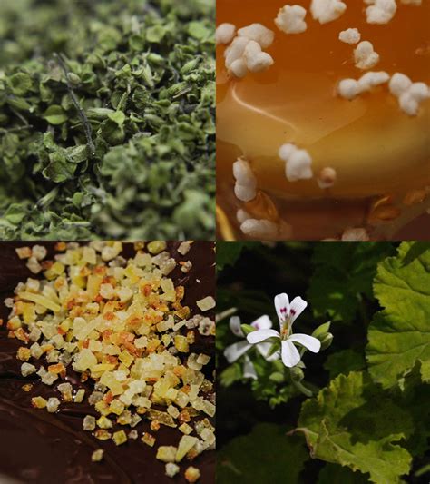 Alchemy Mini 8 Pack Bundle Toak Chocolate