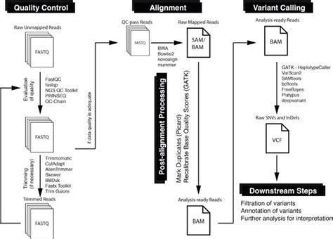 Bioinformatics Workflows For Genomic Variant Discovery Interpretation And Prioritization