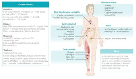 Endocrine Flashcards Quizlet