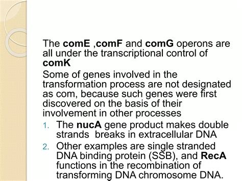 Dna Transformationpptx