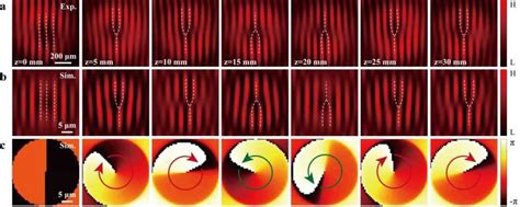 Uncovering The Secrets Of Spin Orbit Optical Rabi Oscillations Shunlongwei Co Ltd