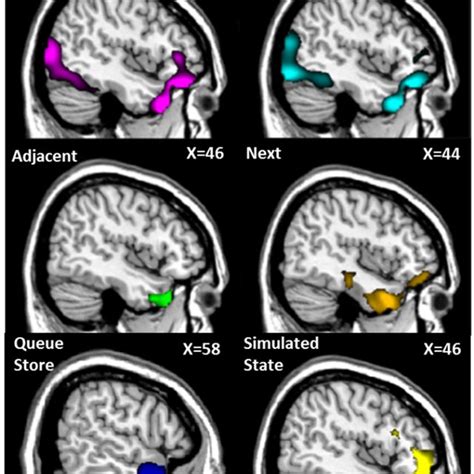 Representational Similarity Analysis Rsa Of Model Layers Vs Human