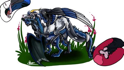 Rule 34 169 Animal Genitalia Animal Penis Balls Beak Bun Bun Claws