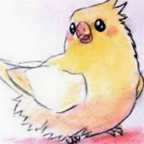 Bird Cam Daily Youtube