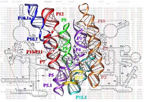 Algoritma Dan Pseudocode Anom Harya