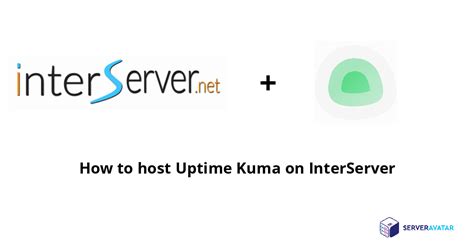 How To Host Uptime Kuma On InterServer VPS ServerAvatar