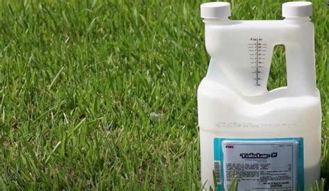 8 Best Mosquito Sprays And Repellents For Yard In 2025