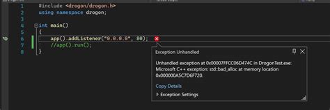 Exception Std Bad Alloc At Memory Location Issue