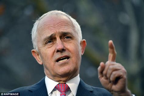 Peta Credlin Says Malcolm Turnbull Undermining Coalition Daily Mail