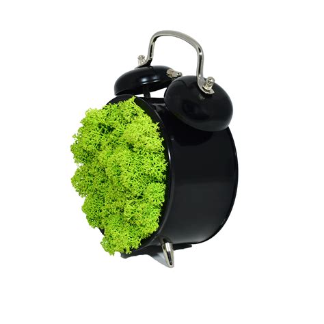 Настенные часы из дерева и мха 5 0 ⋆ Магазин эко декора в Москве