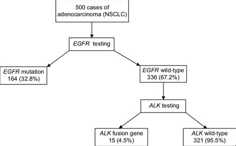 Molecular Testing Results Abbreviation Nsclc Non Small Cell Lung Download Scientific Diagram