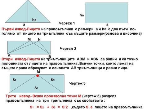 Задачи от лице на правоъгълник и триъгълник Задачи за 5 клас