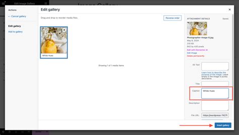 How To Add Image Caption PowerPack Addons For Elementor