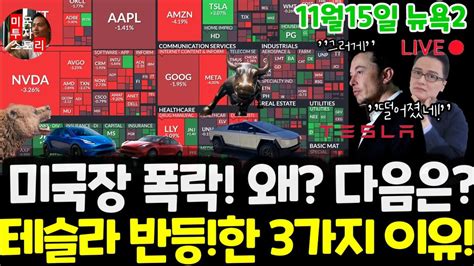미국주식오늘 왜 폭락했나 테슬라 반등 엔비디아 하락한 이유 구글 애플 아마존 메타 마이크로소프트 팔란티어 아이온큐 Smci 인텔 Lly 삼성전자등 Tsla