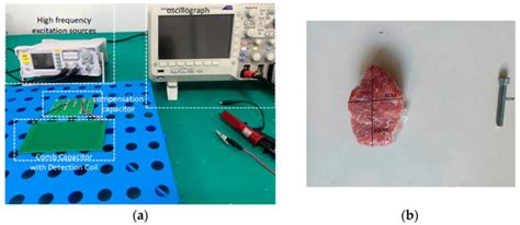 Research On Metal And Living Foreign Object Detection Method For Electric Vehicle Wireless