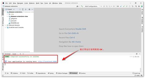Dev View Plugin Dataease 文档