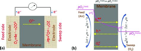 1 Schematic Of Oxygen Permeation Across Dense Ceramic Membranes A