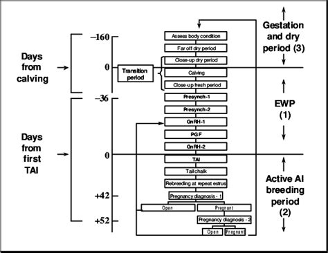 Components Of A Calving Interval Consisting Of 1 The Elective Waiting