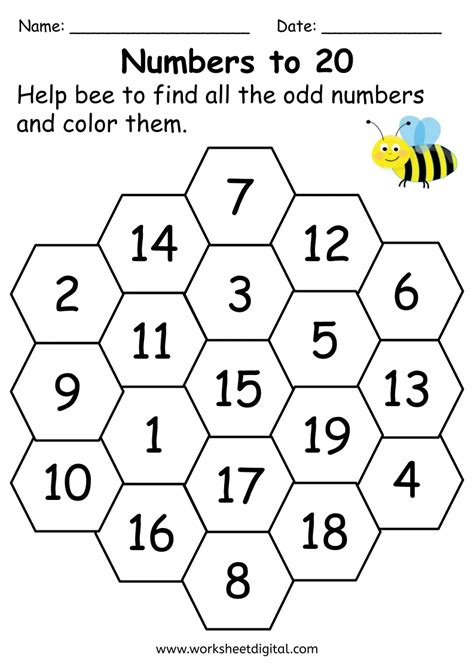 Odd Numbers Worksheet Digital 1 Teacher Made Resources