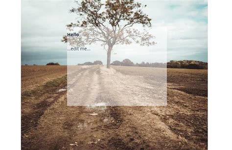 Text Opacity Getting Affected By Floating Group Opacity Need Help Bubble Forum